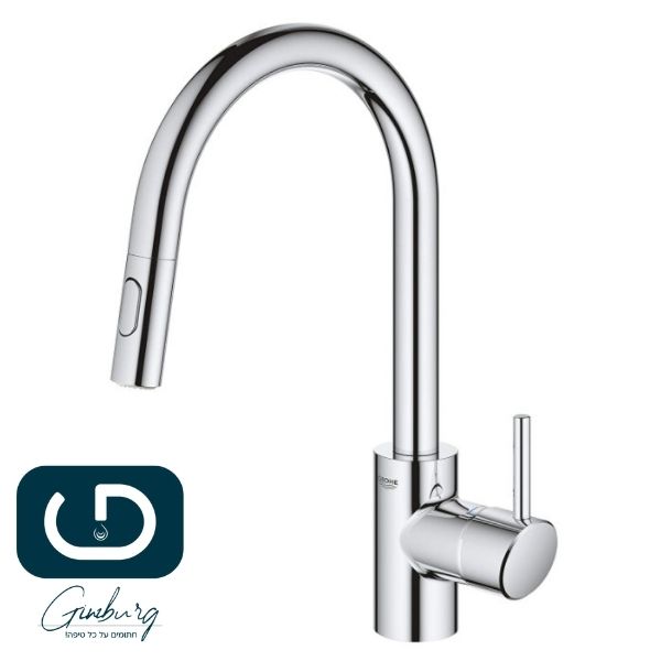 גינזבורג - יבוא שיווק ואספקת מוצרי סניטציה | ברז גרואה נשלף גרואה 2 ...